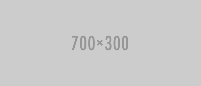 700x300 - Laende